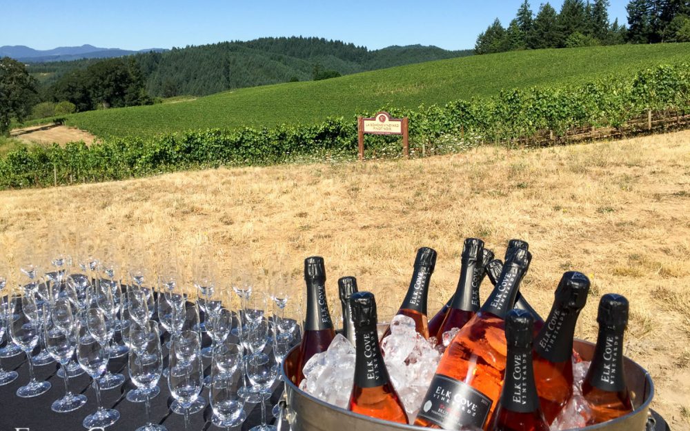 Elk Cove Vineyards | The Yamhill-Carlton AVA